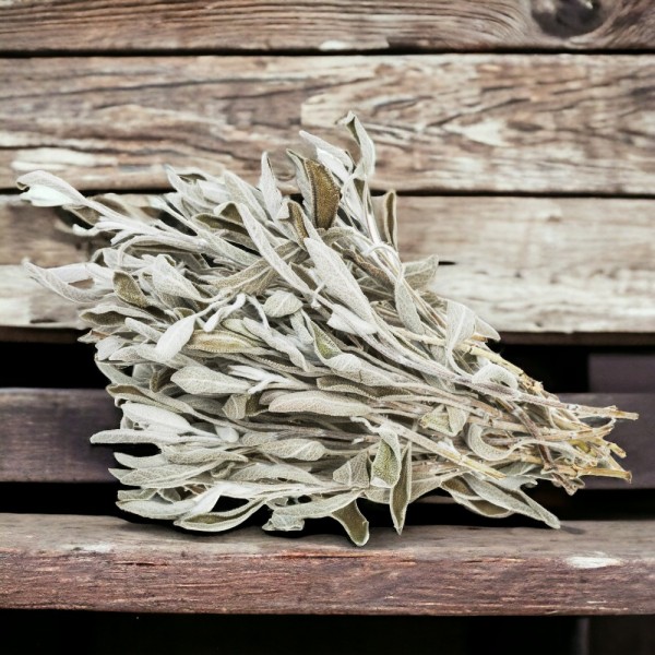 Witte salie kopen? Dat doe je bij de witte salie specialist